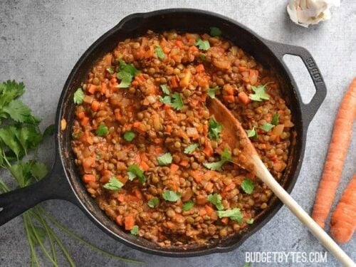 Curried Lentils - Budget Bytes