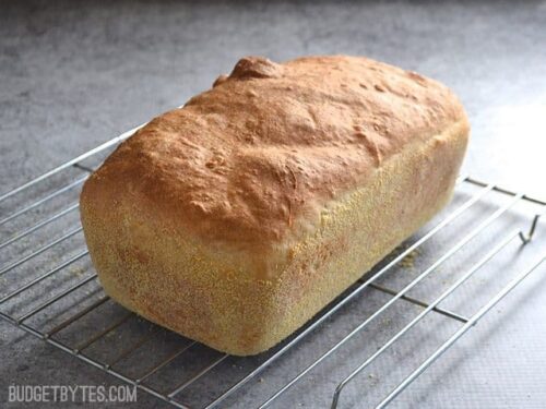 No Knead English Muffin Bread - Budget Bytes