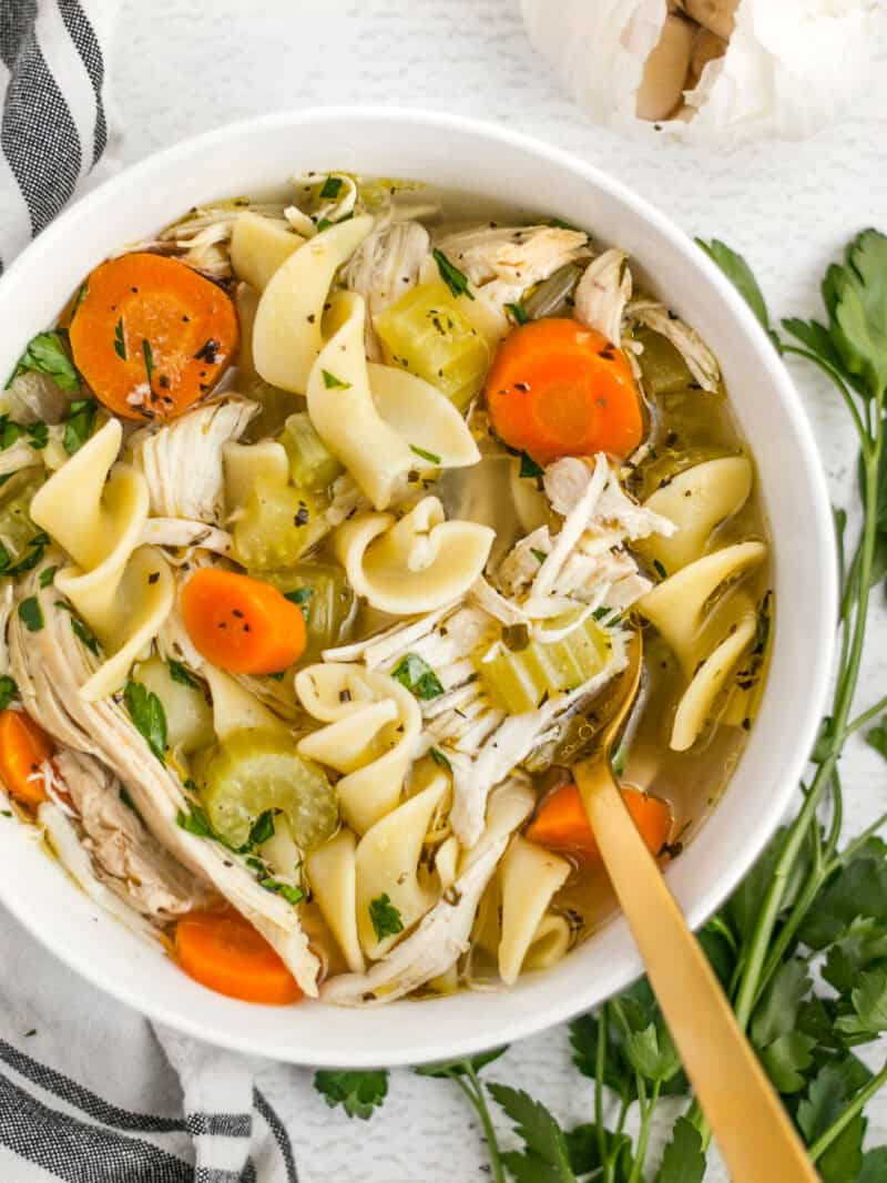 Chicken Noodle Soup (from scratch) - Budget Bytes