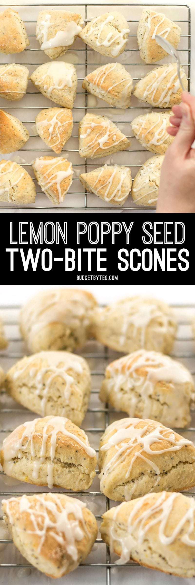 Lemon Poppy Seed Two-Bite Scones - Budget Bytes