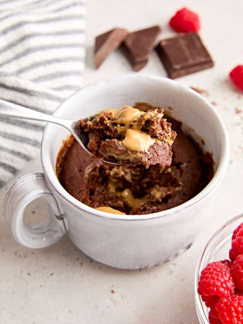 Chocolate Mug Cake Recipe - Budget Bytes