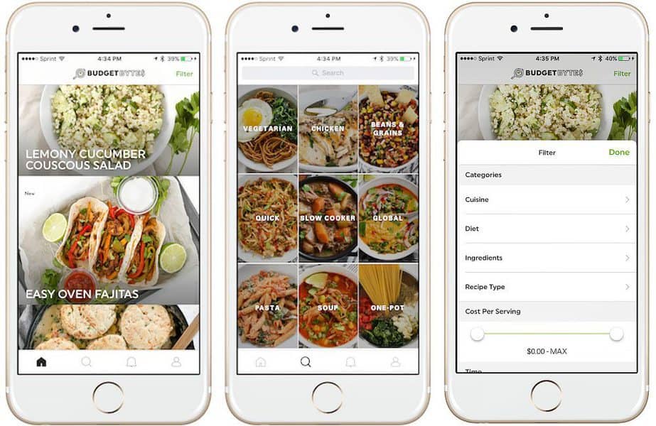 The Budget Bytes App Is Coming Budget Bytes