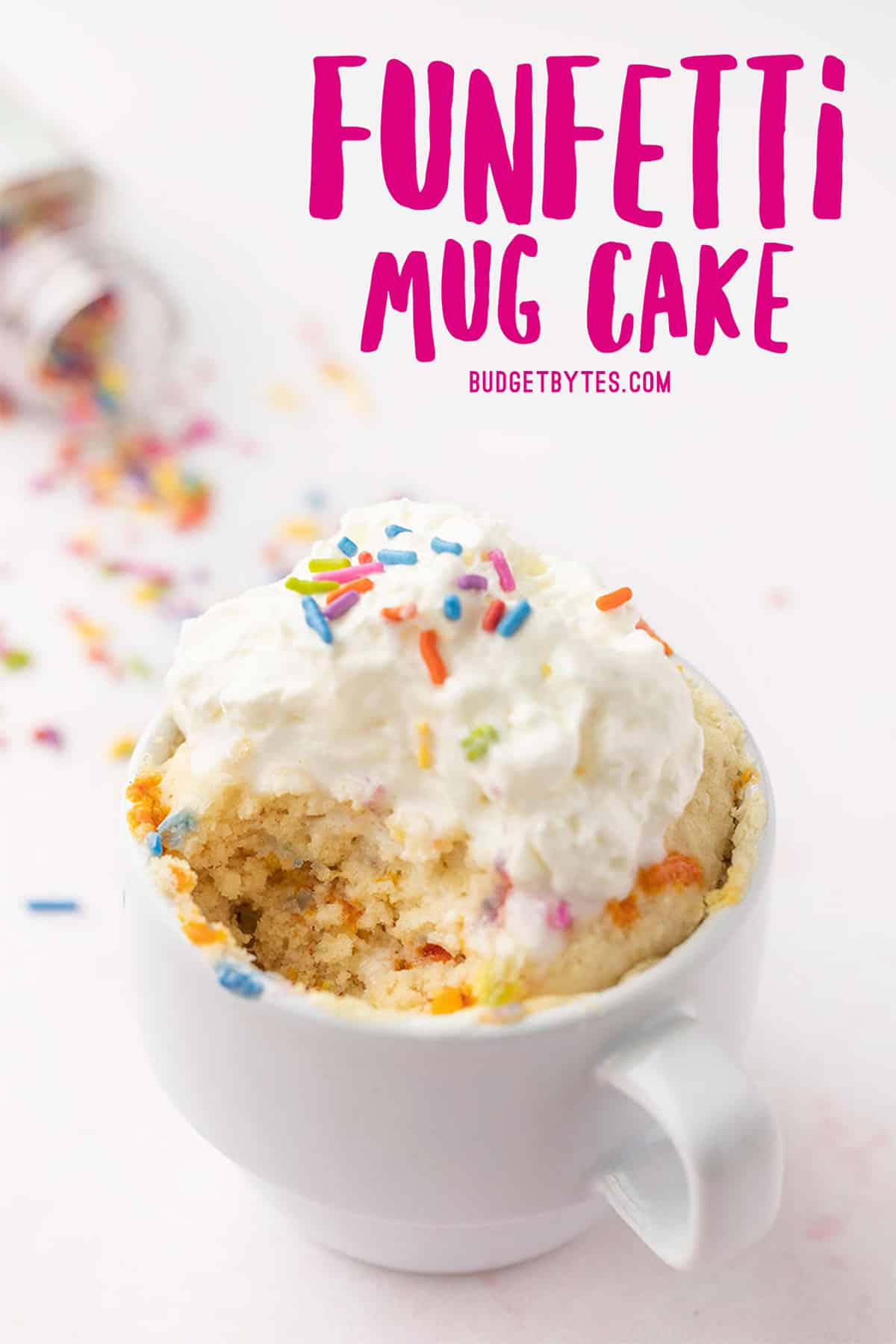 5-Minute Funfetti Mug Cake - Budget Bytes