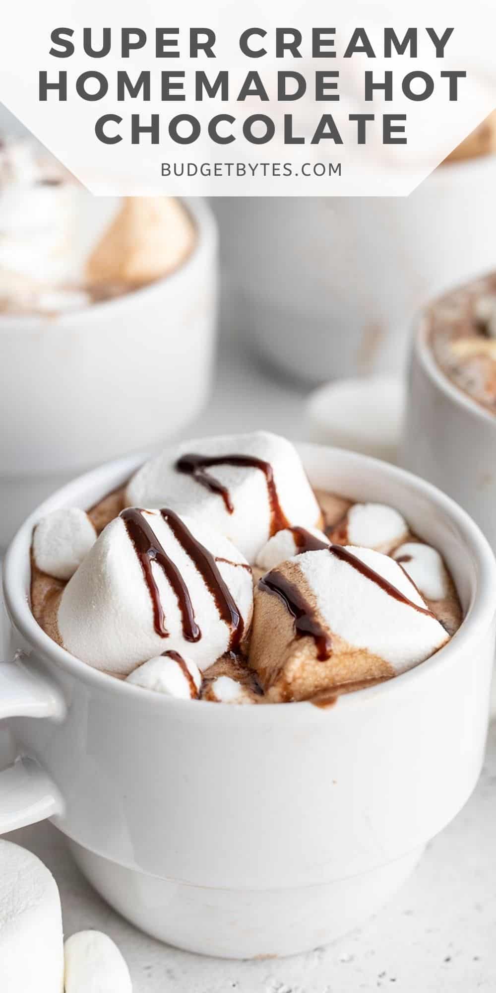 Homemade Hot Chocolate - Budget Bytes