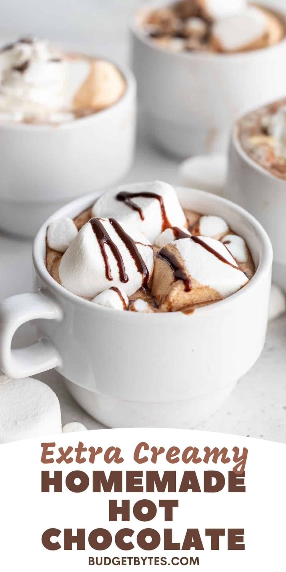 Homemade Hot Chocolate - Budget Bytes