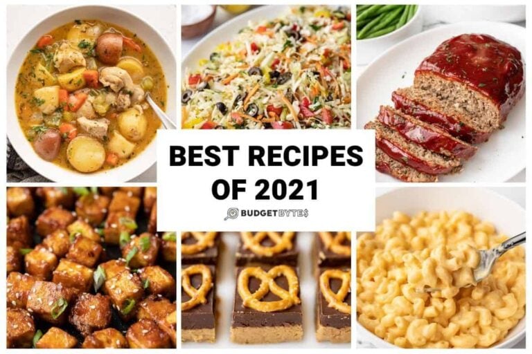 Best Recipes of 2021 - Budget Bytes