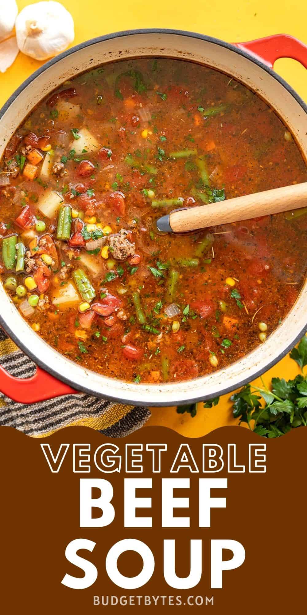 Easy Vegetable Beef Soup Budget Bytes