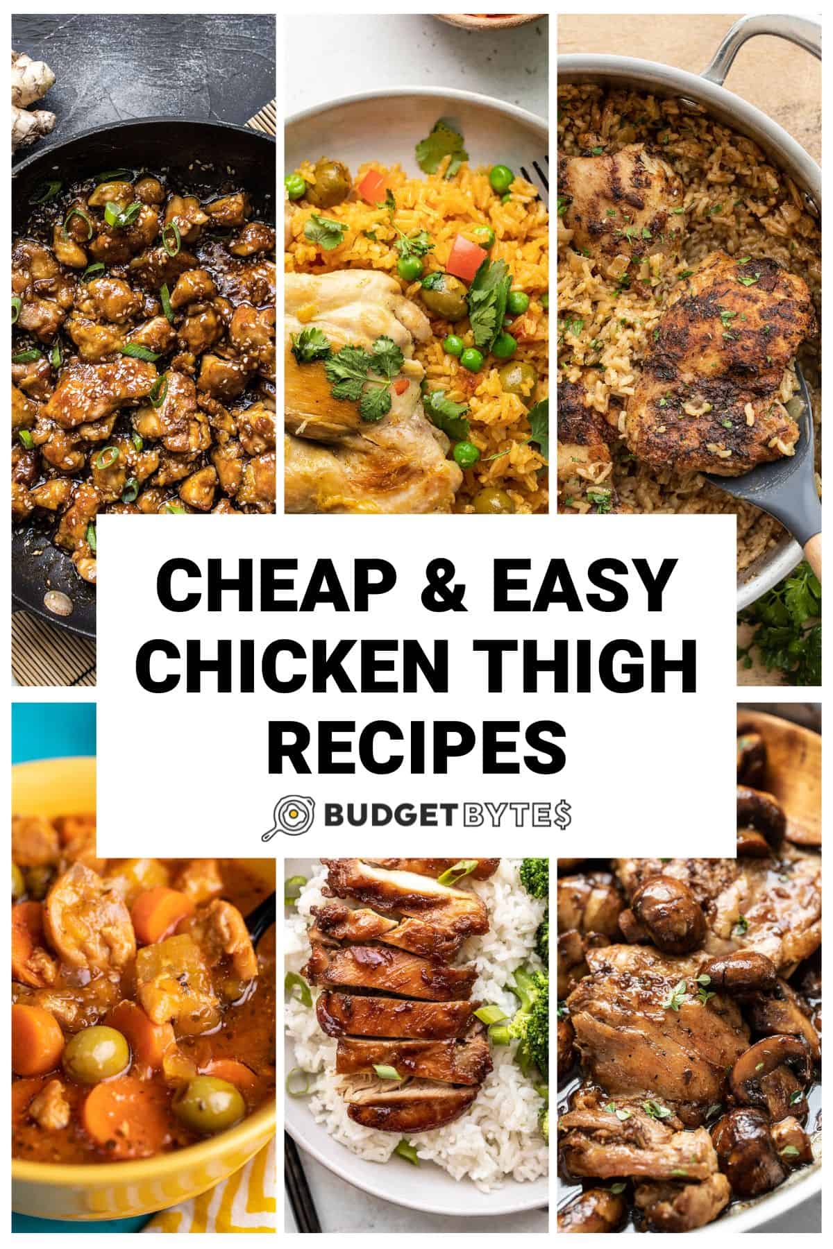 Cheap & Easy Chicken Thigh Recipes - Budget Bytes