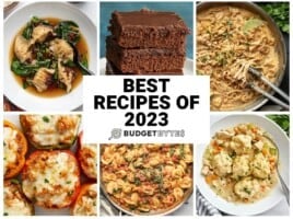 Best Recipes of 2023 - Budget Bytes
