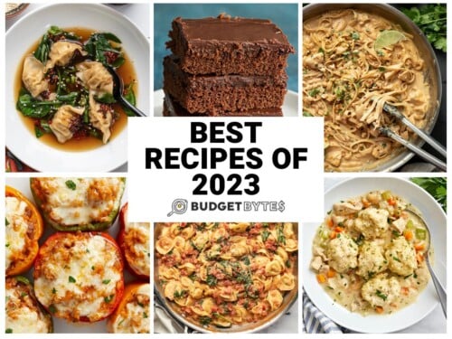 Best Recipes of 2023 - Budget Bytes