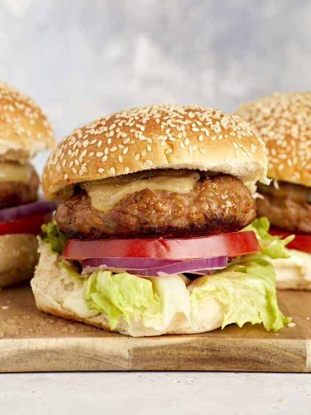 Turkey Burger - Budget Bytes - Mnerpa.com
