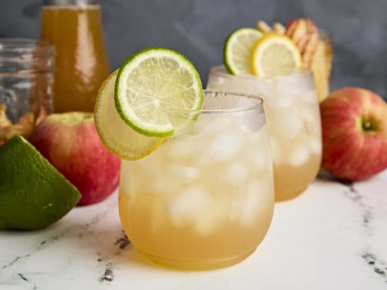 Apple Cider Shrub Mocktail - Budget Bytes