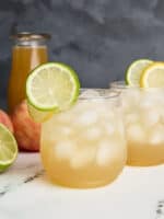 Apple Cider Shrub Mocktail - Budget Bytes