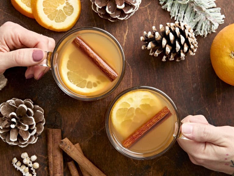 Spiced Hot Apple Cider Recipe - Budget Bytes