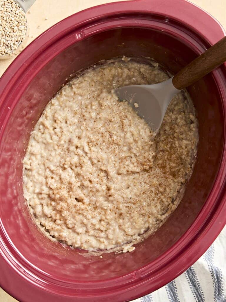 Slow Cooker Steel Cut Oatmeal - Budget Bytes