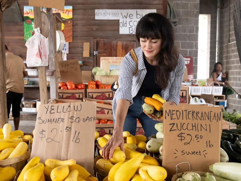 Big Changes to SNAP Benefits: What You Need to Know Now - Budget Bytes